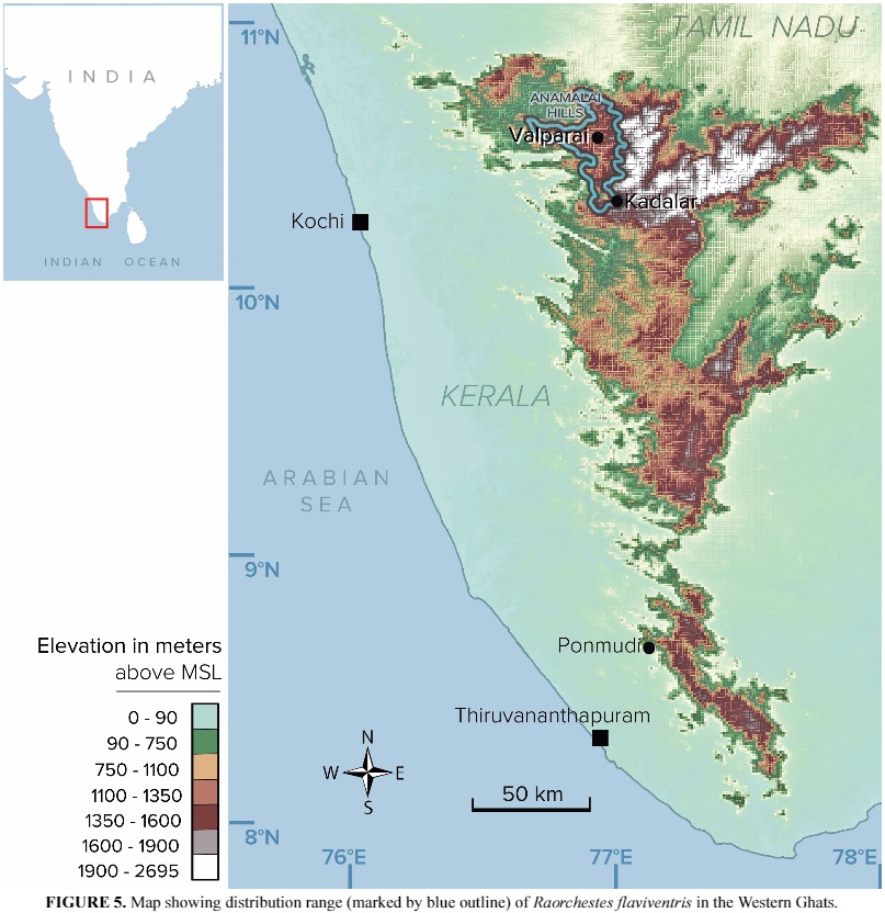 Species New to Science: [Herpetology • 2015] A Reappraisal of The ...