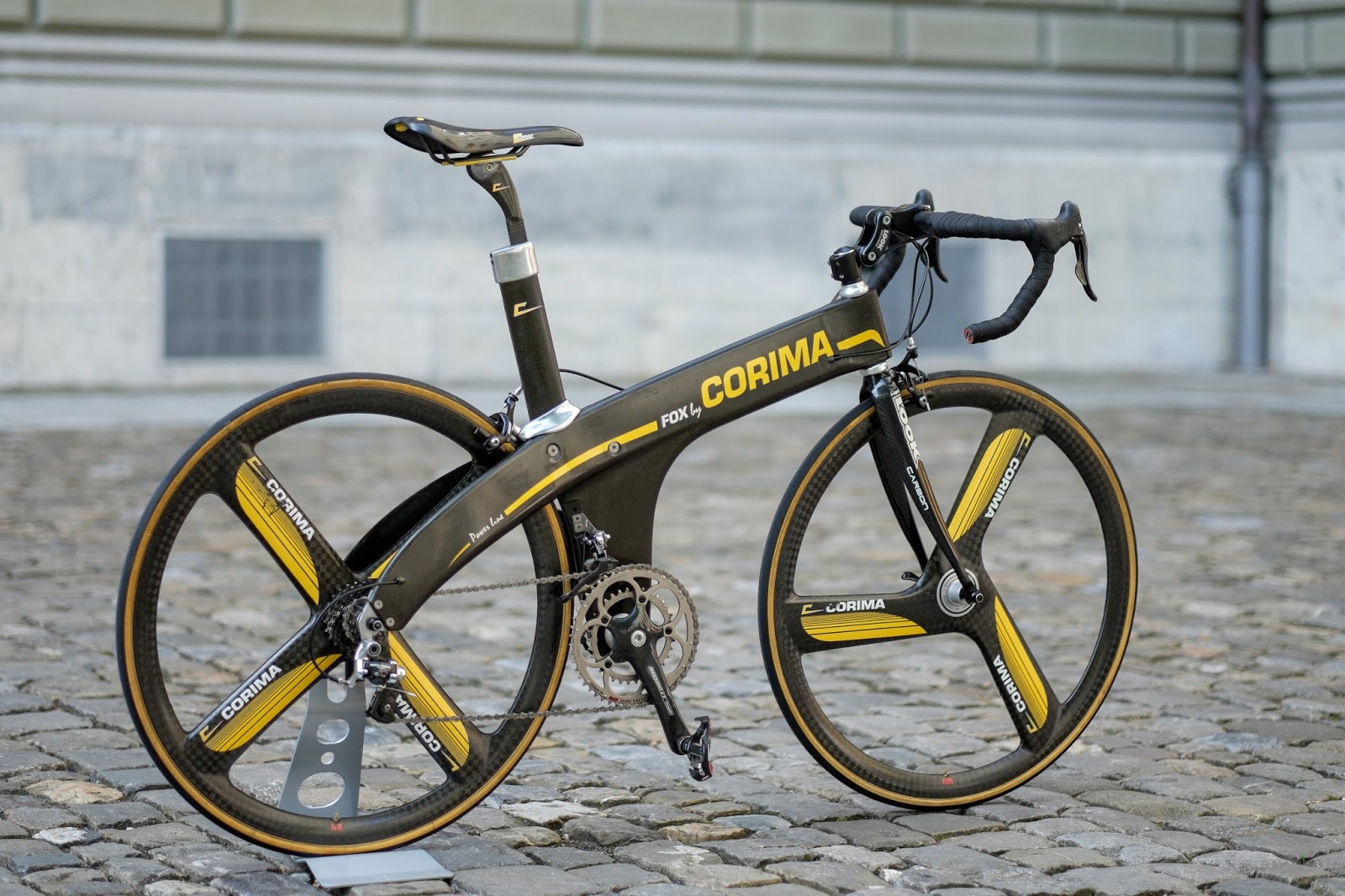 Zuwachs im Zoo: Corima Fox