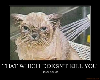 Finding the Eye of the Storm: A Sense of Humor Helps