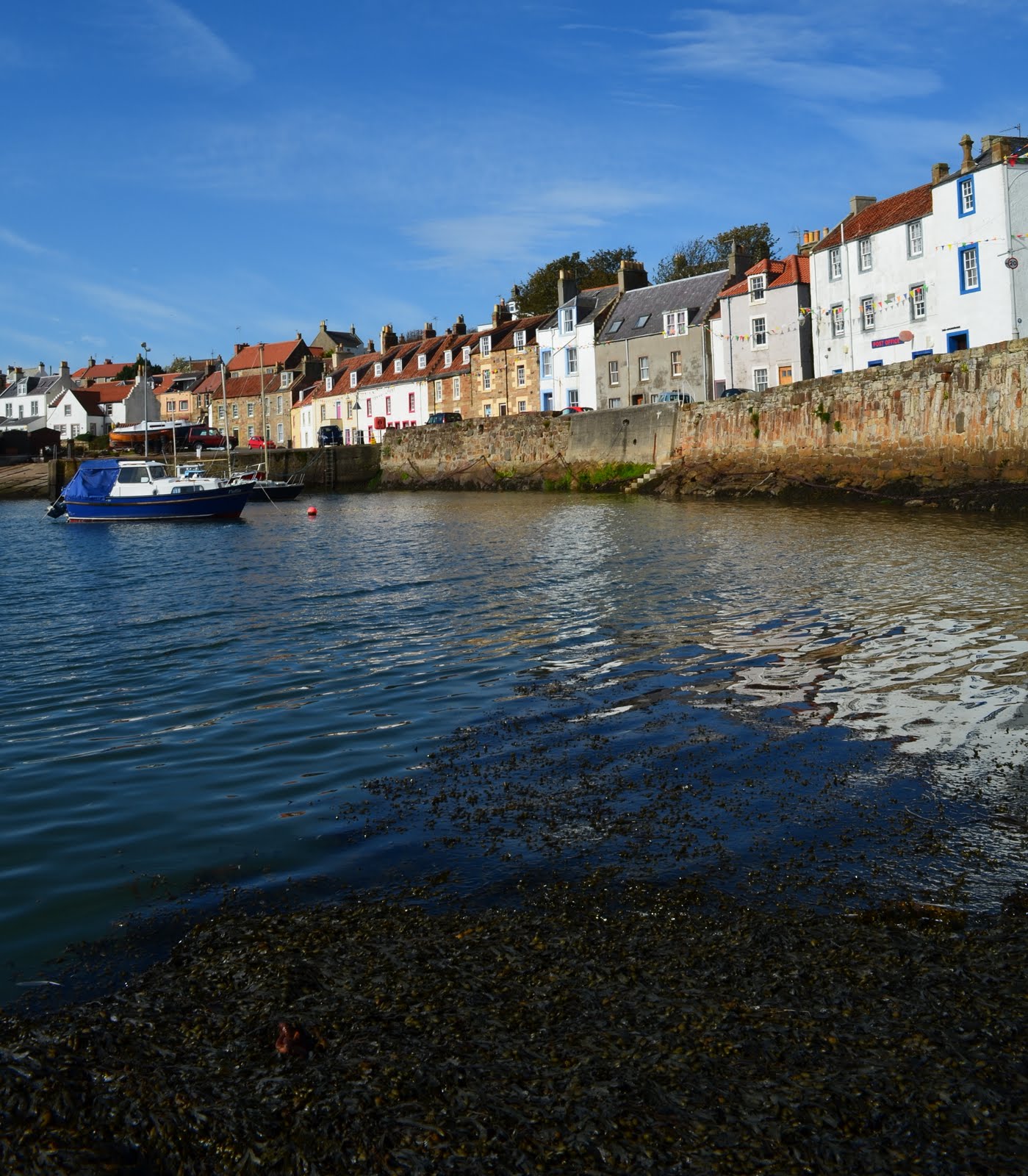 Tour Scotland: Tour Scotland Photographs Video Harbour St Monans East ...