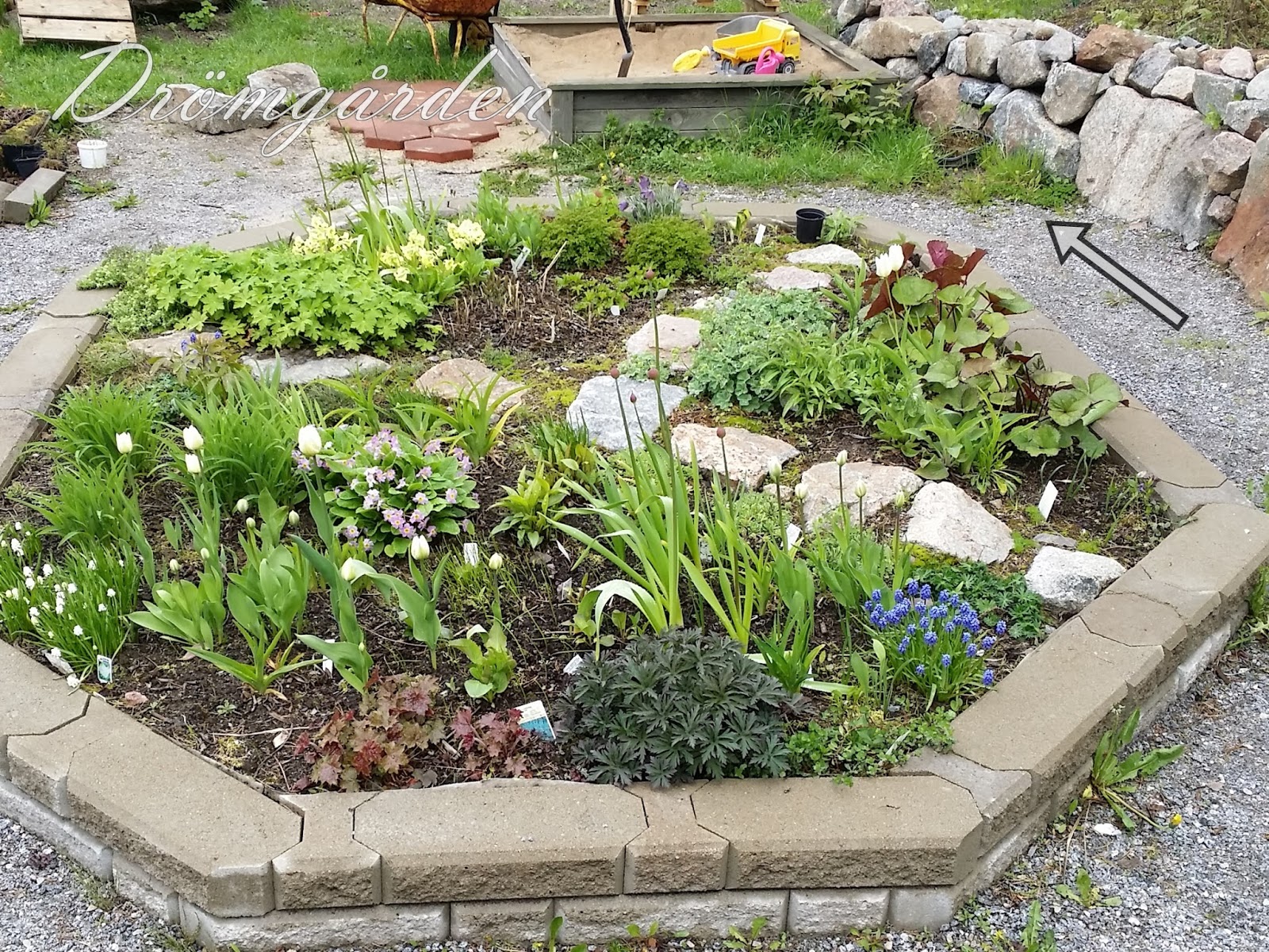 Drömgården: Alva's blomrabatt