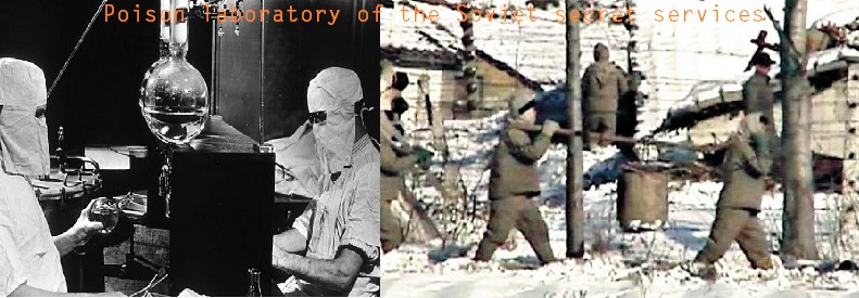 Inilah 7 Eksperimen Paling Gila dan Mengerikan Yang Pernah dilakukan ...