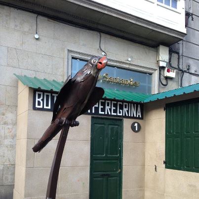 Sazono y me lo como: El Loro Ravachol de Pontevedra