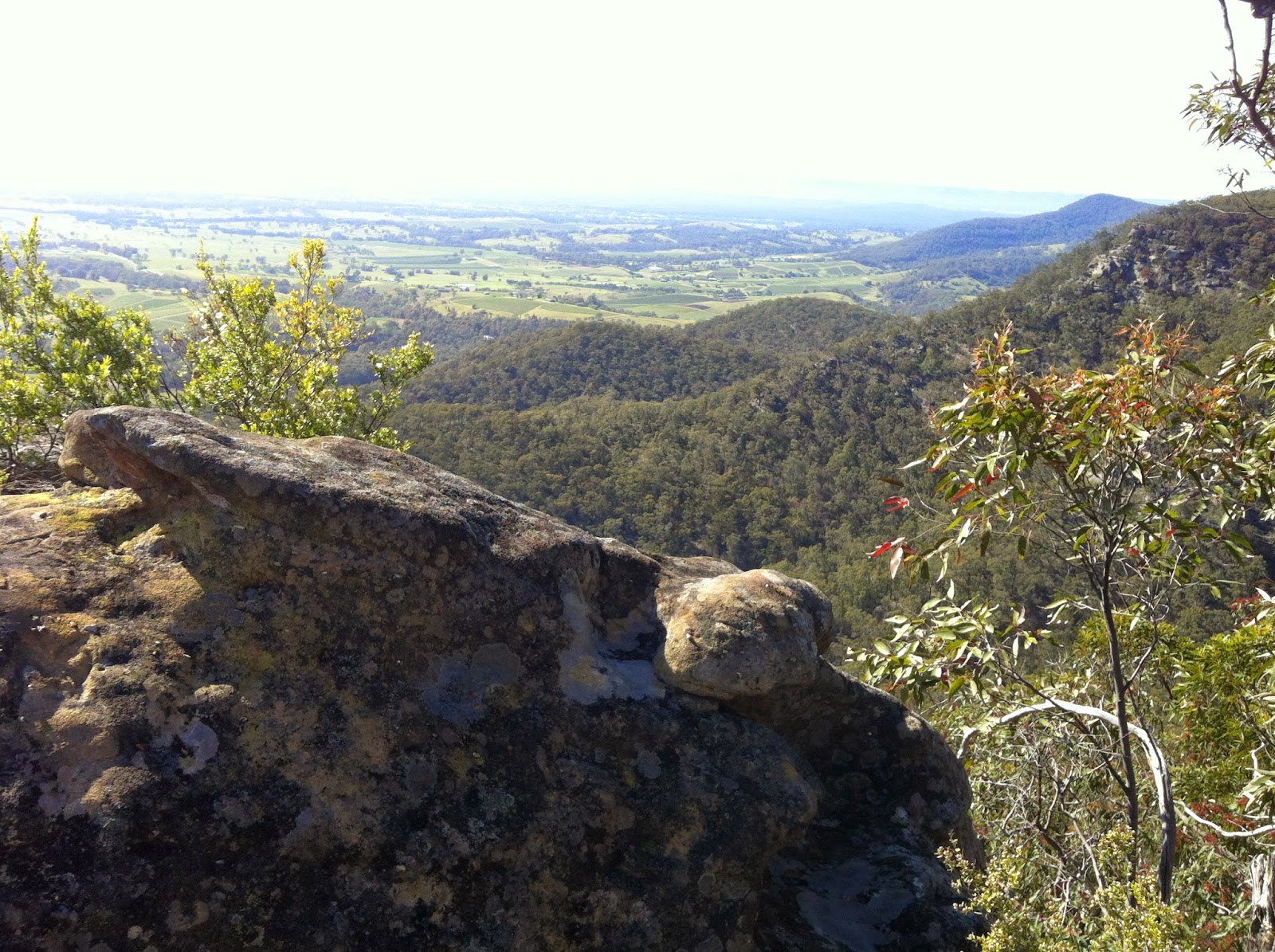 Walking The Parks: Pokolbin State Forest
