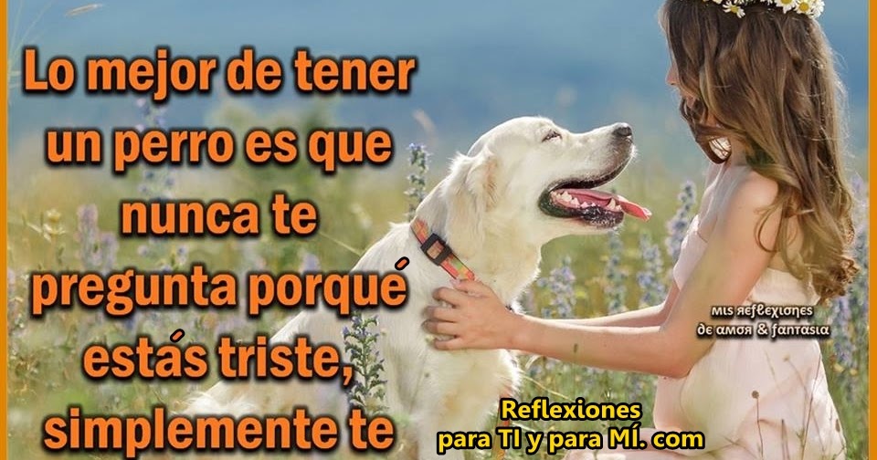 Reflexiones para TI y para MÍ: * Lo MEJOR de tener un perro ...
