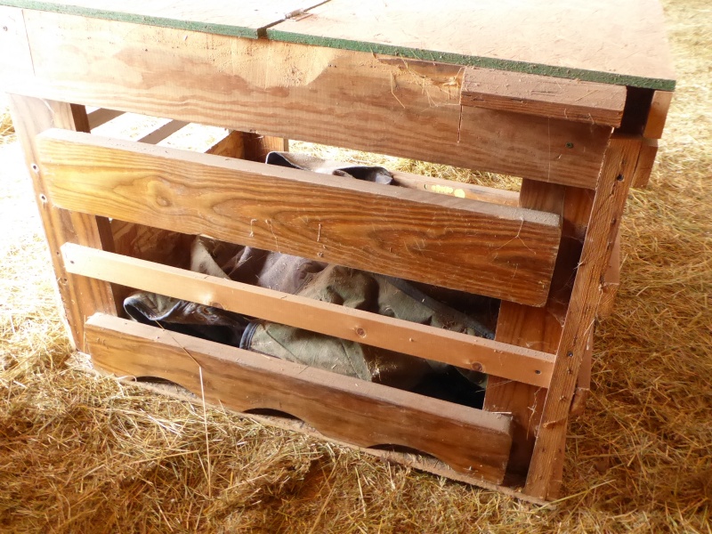 Rural Revolution: Calf cage photos