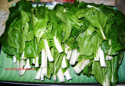 i am the cook!: Pine-Pechay Lumpia Kitchenomica (Snow Cabbage and ...