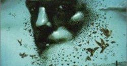 Les Impressions Livresques de David J.Collins: La Part des Ténèbres (Stephen king)