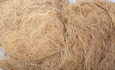 Vietnam Coconutfiber: Products