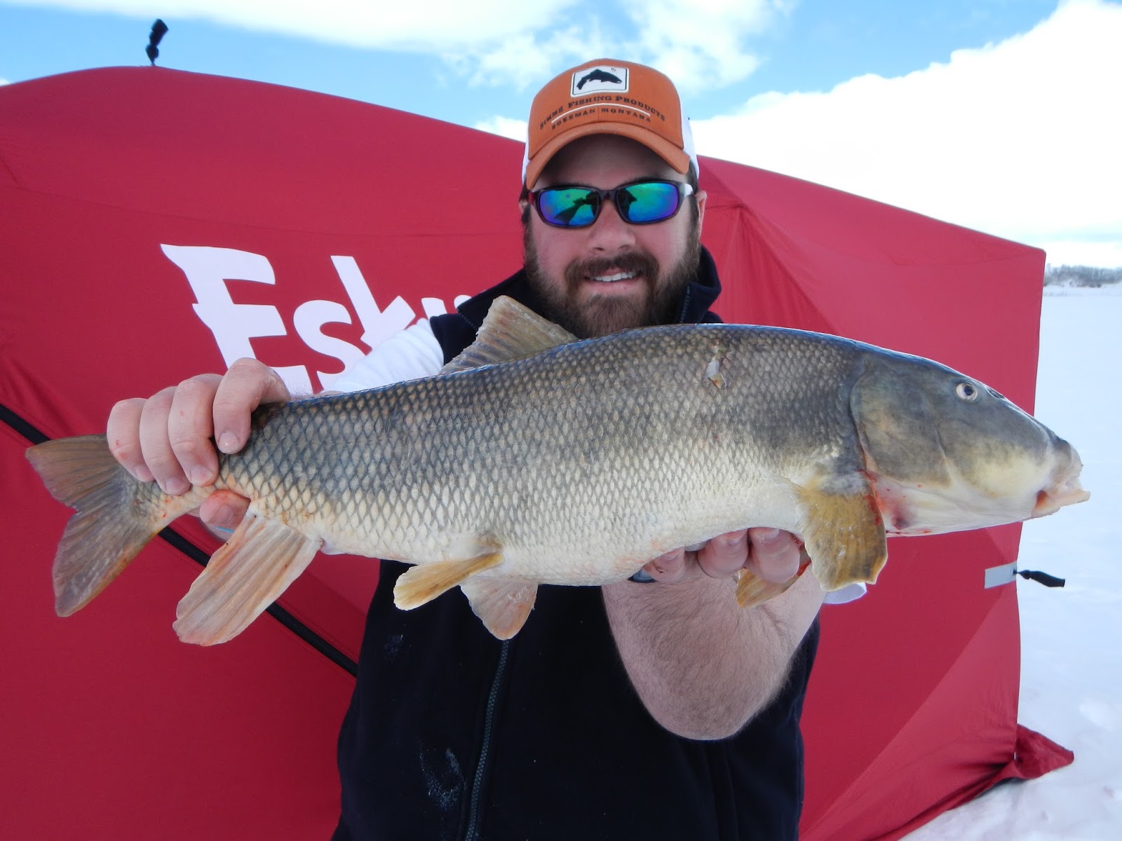 Bryanlikestofish: Fish List - The First 100