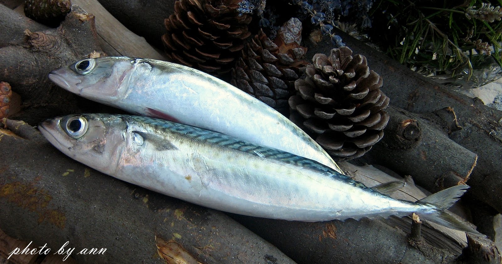 ...anngelpie ...soul kitchen...: ...lokarde sa gradela, lešo blitva ...