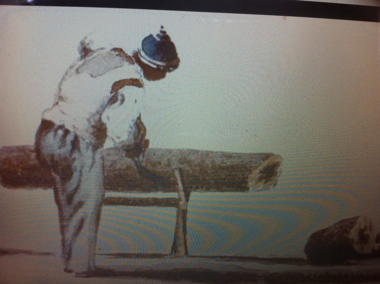 THE BLACK SOCIAL HISTORY:: BLACK SOCIAL HISTORY : AFRICAN AMERICAN ...