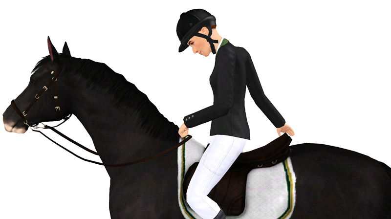 Margo May's Equine Studio: Pose Pack: Basic Riding Poses