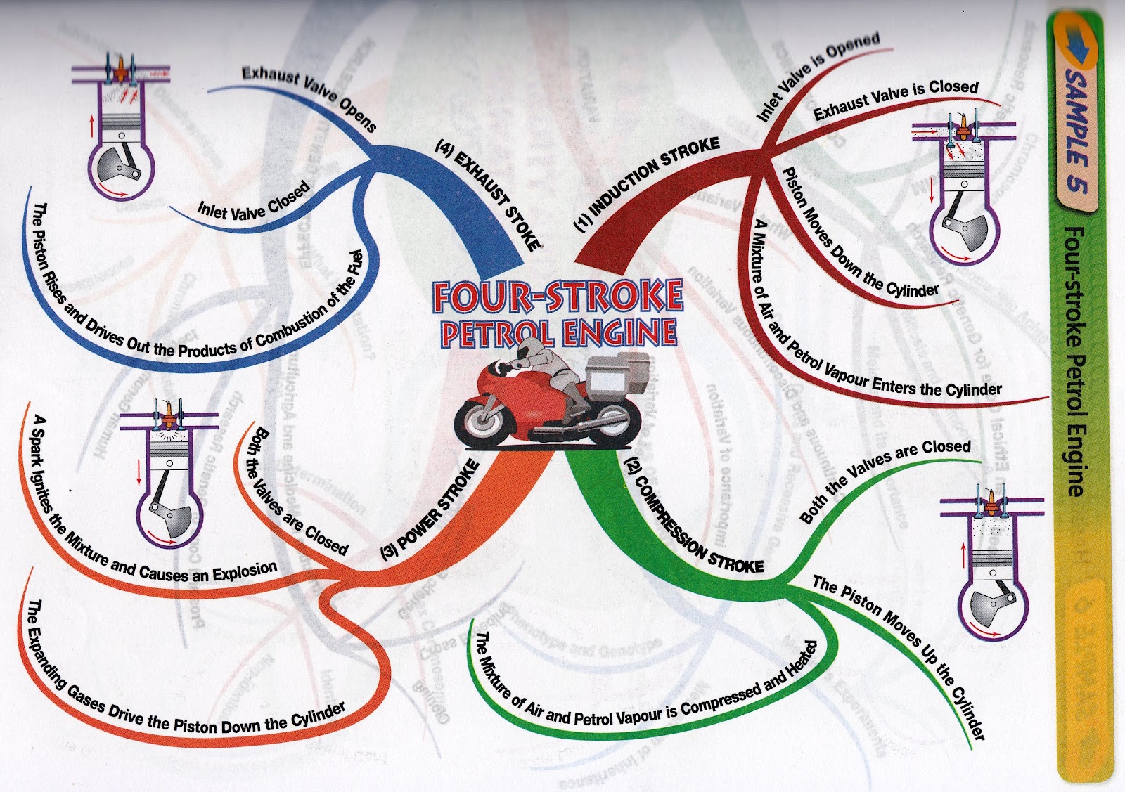 How to build mind maps?? (subject science, SPM) | :: Soul impression by ...