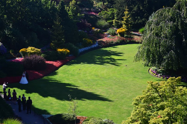 Photography in My Life: Queen Elizabeth Park