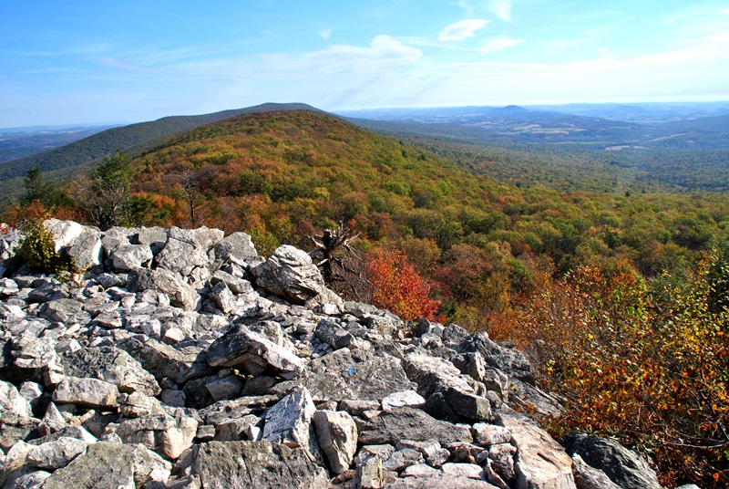 Southeastern PA Hiking: Hawk Mountain Sanctuary