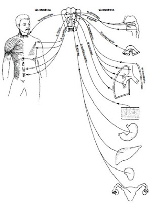 Fisiologia de la tos