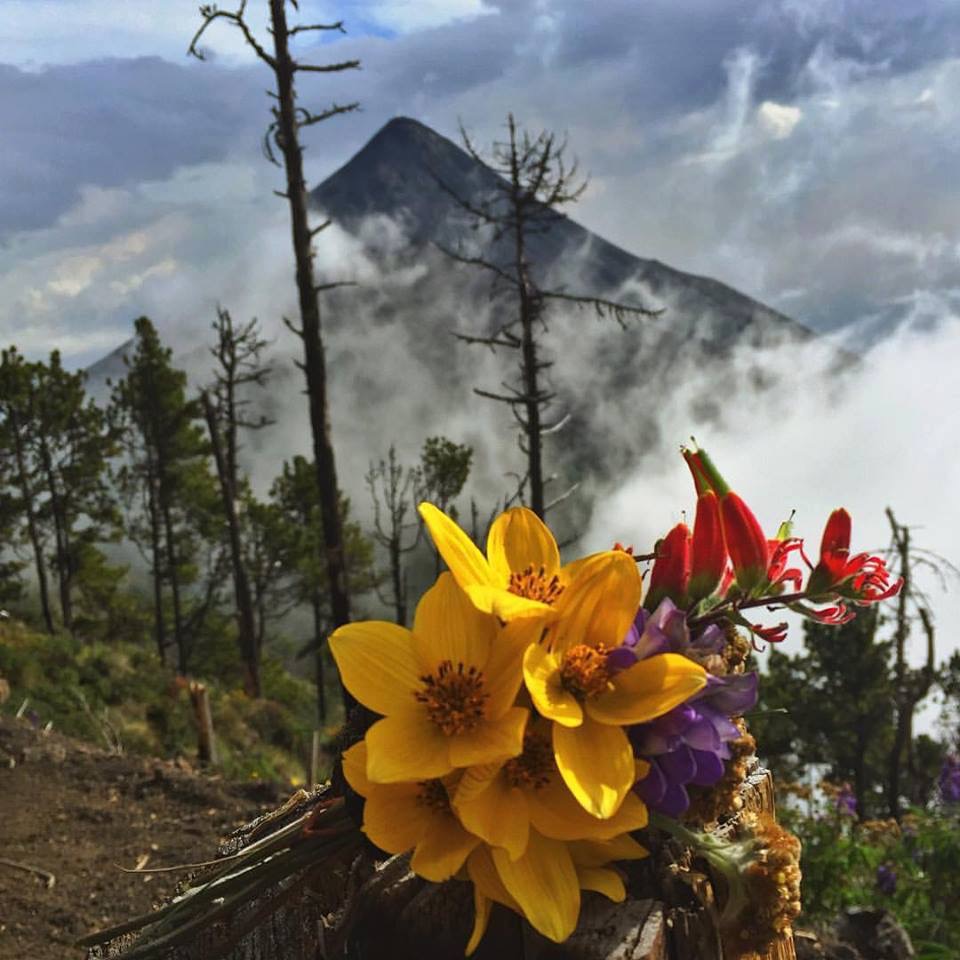 "AMBASSADOR FOR JESUS": He Freely Gives