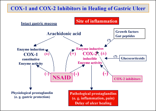 Medical Science Made Easy Arachidonic Acid Metabolism At A Glance medical-science-made-easy-arachidonic-acid-metabolism-at-a-glance