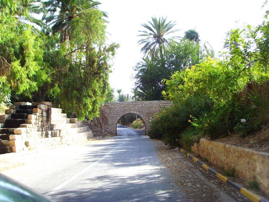 THE BEAUTY OF TUNISIA: GABES EN ARCHIVE