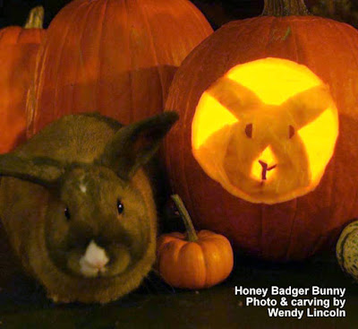 Rabbit Ramblings: Bun o' lanterns -- Bunny pumpkins for Halloween