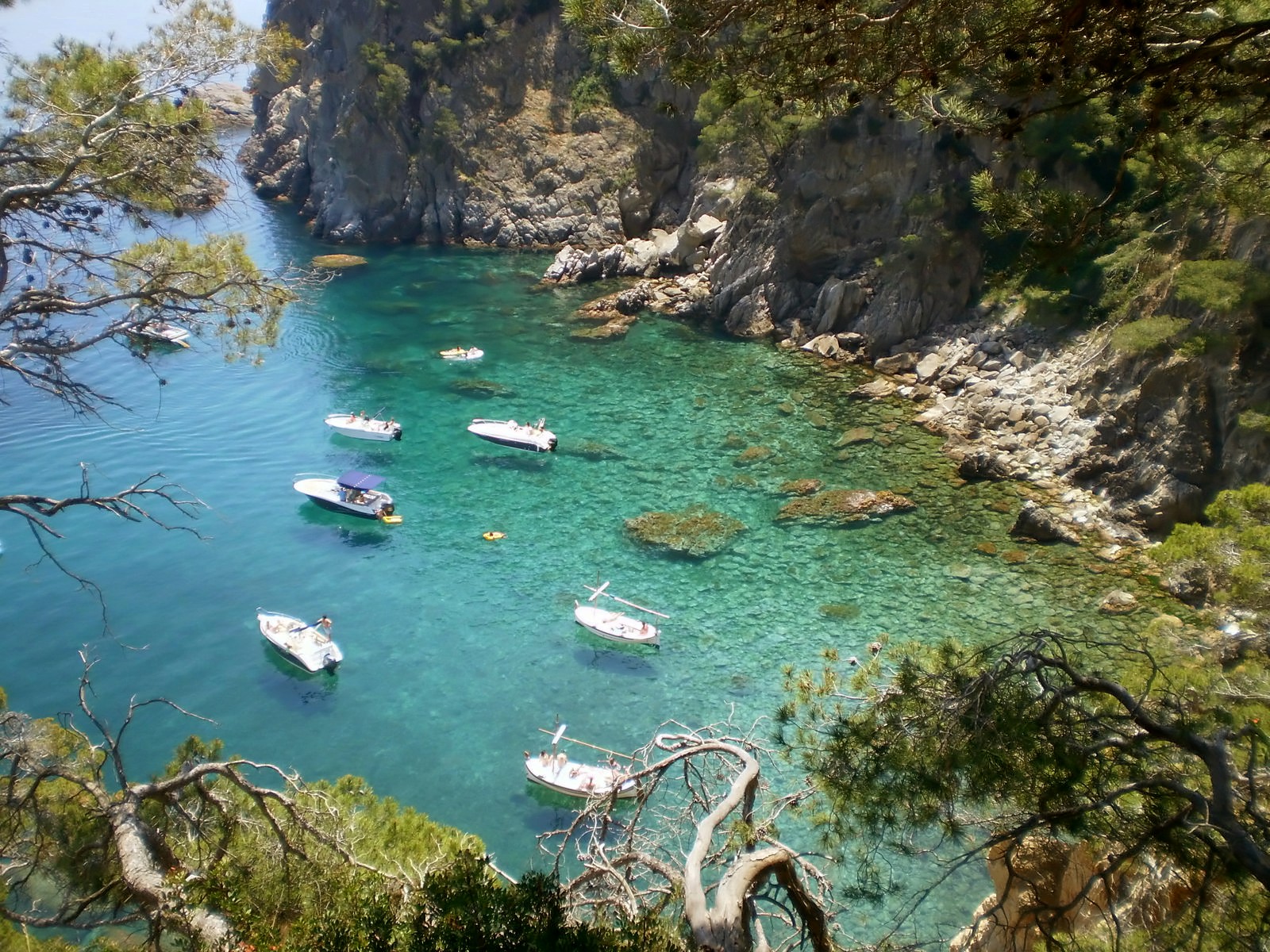 NATURA VIVA: DE TAMARIU A CALA PEDROSA