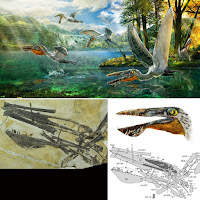 Species New to Science: [Paleontology • 2014] Ikrandraco avatar • An ...