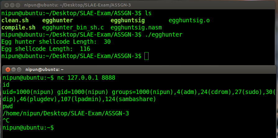 Art of Shellcoding: Cracking Eggs with EggHunters - Nipun Jaswal's Official Blog