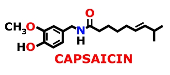 The Beauty of Chemistry: Neutralizer of Spicy Food