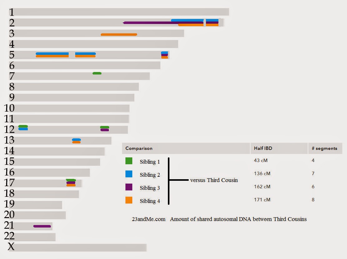 Family History Research by Jody Lutter: DNA shared with a Third Cousin