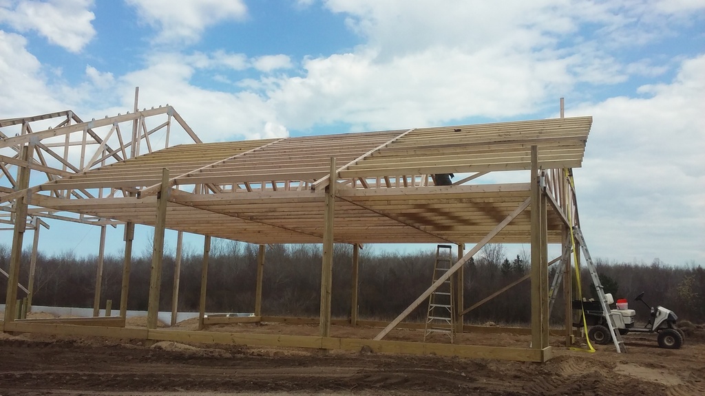 Life Outside the Swamp: Front Half of Garage Roof's Purlins Installed