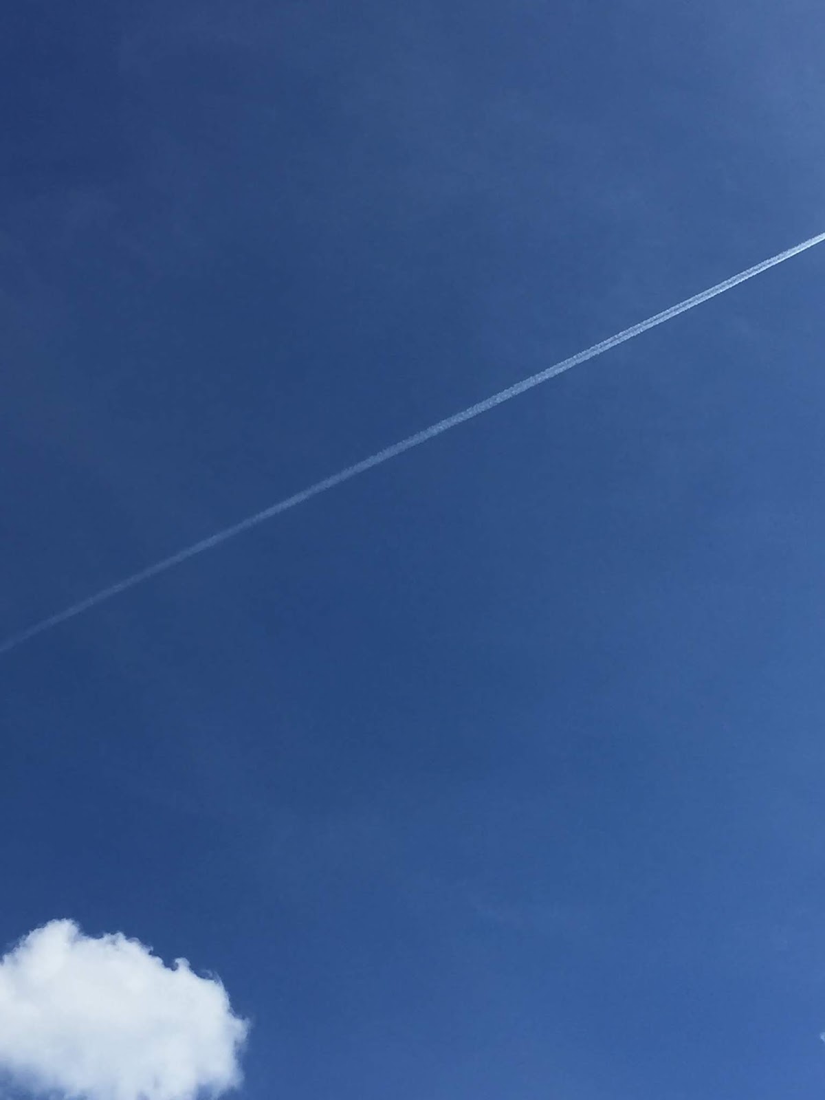 IMM 110-01 Fall 2018 (Matthew)