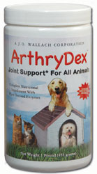 Rahmani Sheep, Shami Goats & More Ain Musa Farm