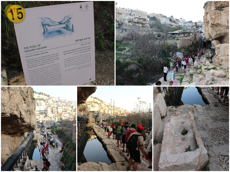 City of David / Gihon Spring / Hezekiah's Tunnel / Siloam Pool 大衛王古城/基訓 ...