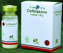 Dokter-umum: Antibiotik