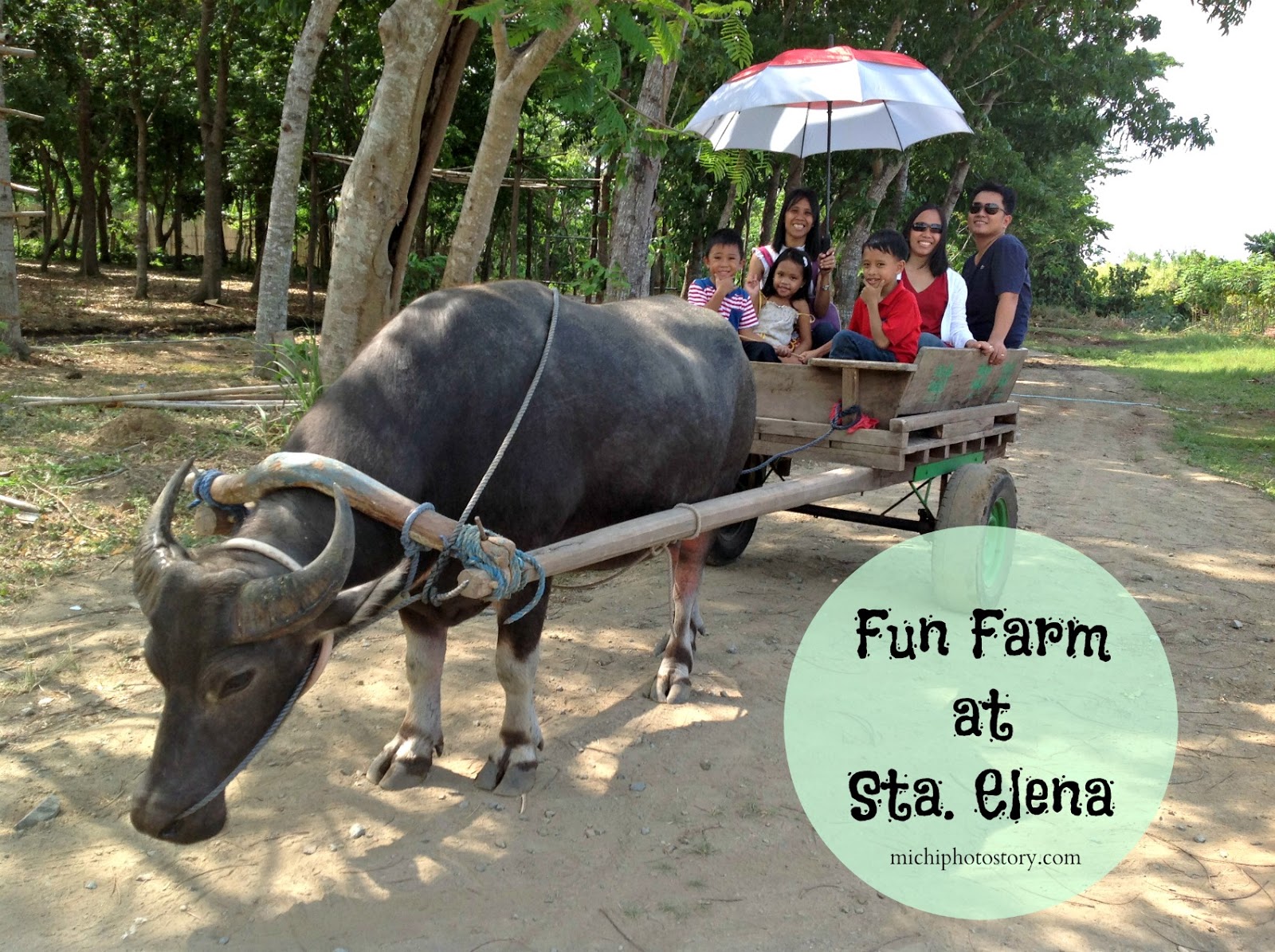 Michi Photostory: 7 Things that you Can Do in Fun Farm at Sta Elena