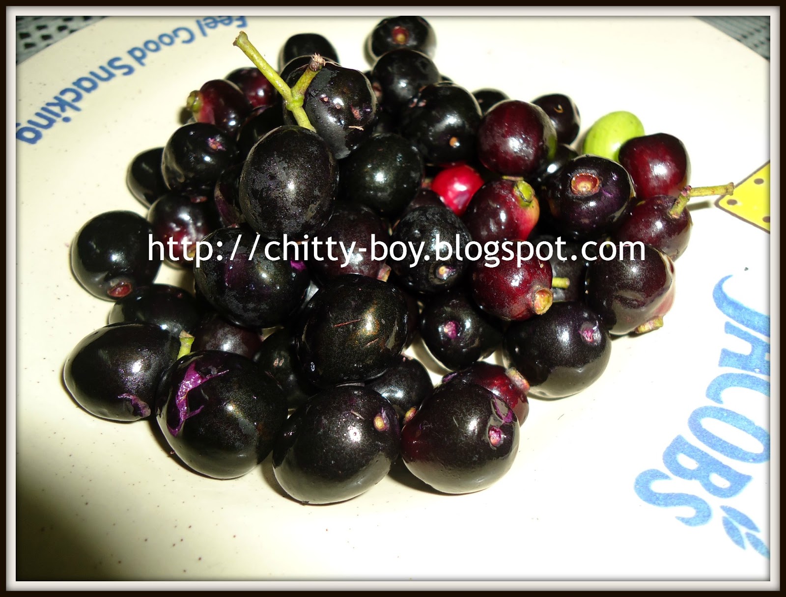 Chitty Boy and Me: Jambul Fruit aka Buah Kerian aka Naaval Pazham