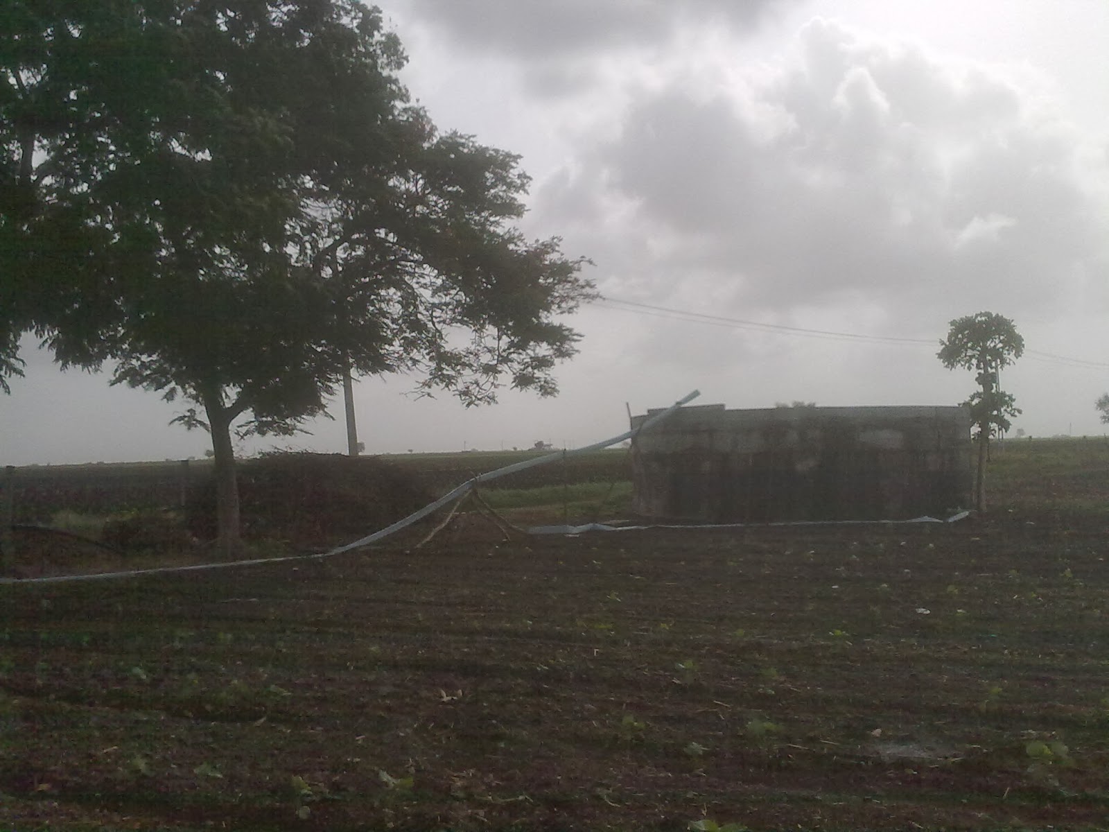 shekhpipariya is a vibrant village at lathi taluka distric amreli ingujarat