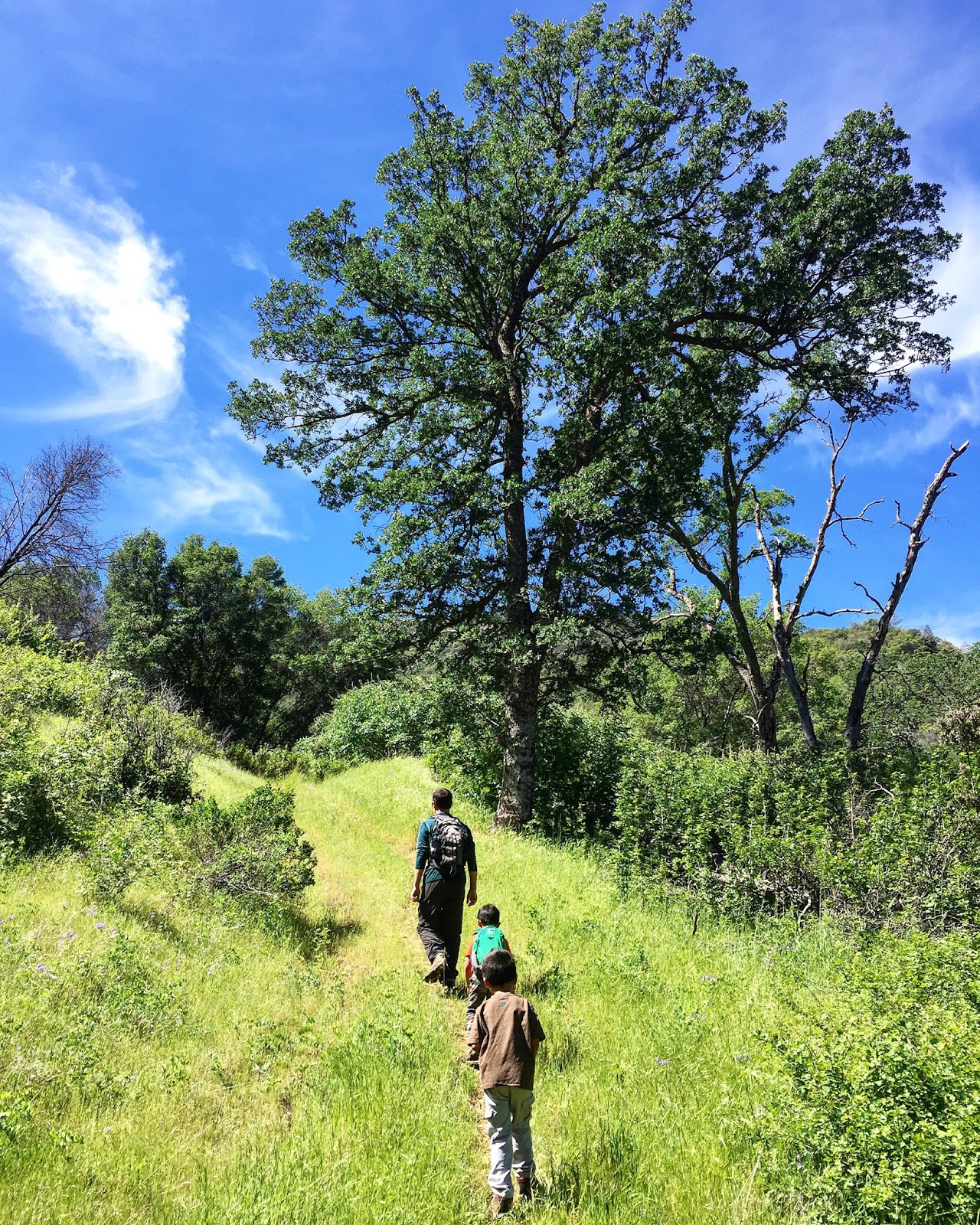 Run-Hike-Play: Valley Vista Trail Hike with the Fam