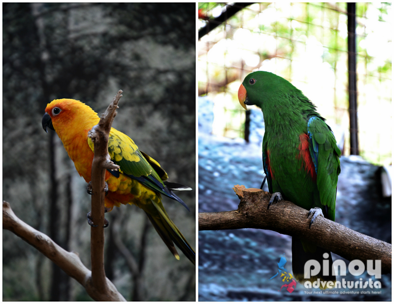 TOP PICKS: 15 Fun and Exciting Things To Do in Zoocobia Fun Zoo You ...