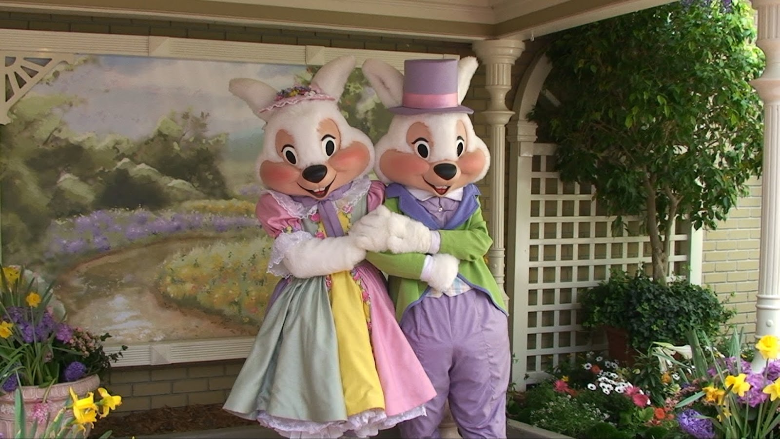 Mr. and Mrs Bunny Coming Soon