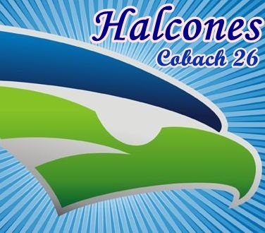 Halcones Cobach 26