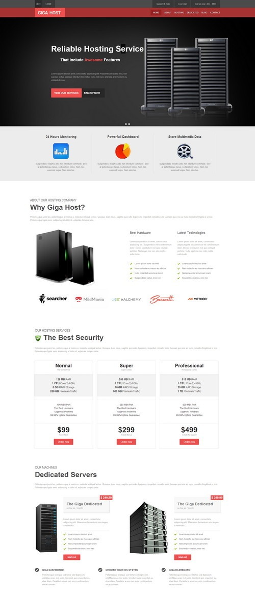 Best Premium HTML WebHosting Templates - Lifetime Designer