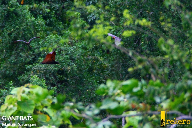 TREKERO: MAITUM: THE HIDDEN GEM OF SARANGGANI