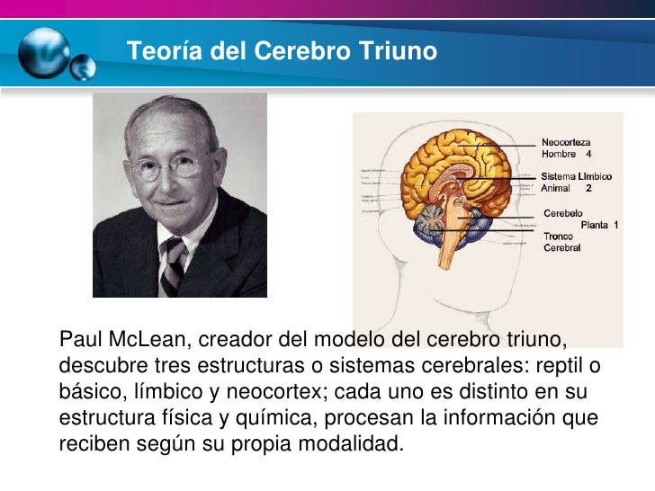 Teoría del cerebro Triuno