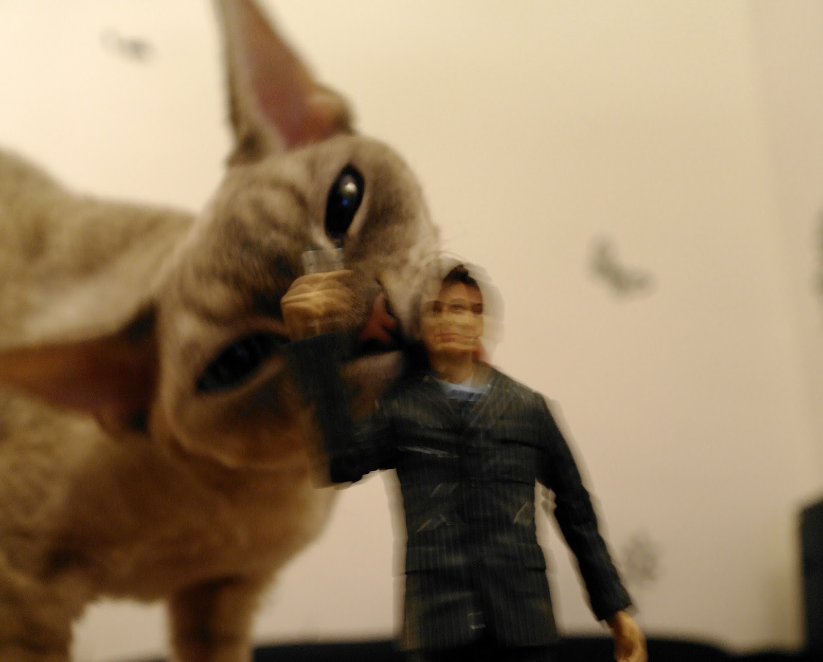 The Operacats: A Doctor Who fan you say? Here's something for you! (And ...