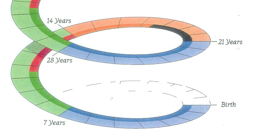 Log of Life: Which Phases of Life..?