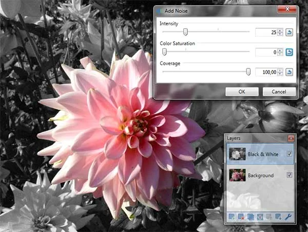 PhotoEffect: Selective Coloring in Paint.NET