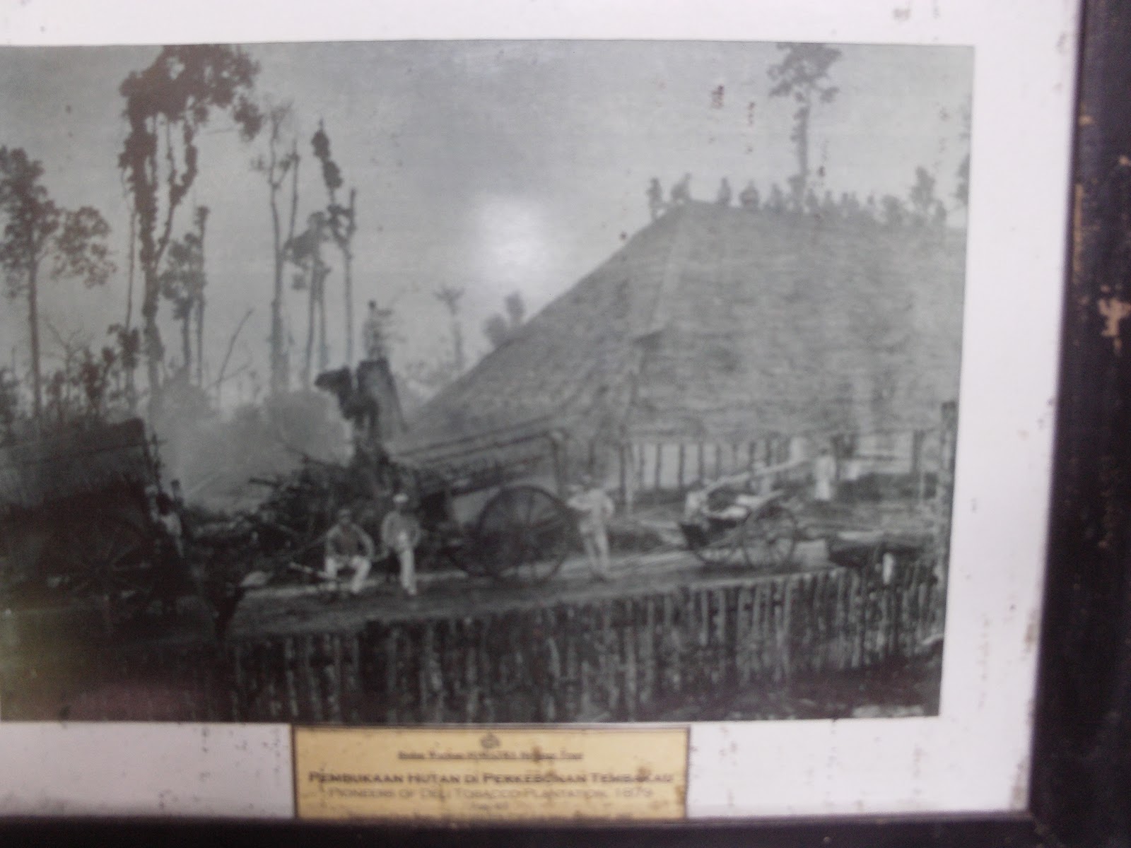 Perkebunan di Nusantara: MEMORIES : Menapak sejarah Tembakau Deli Part -1