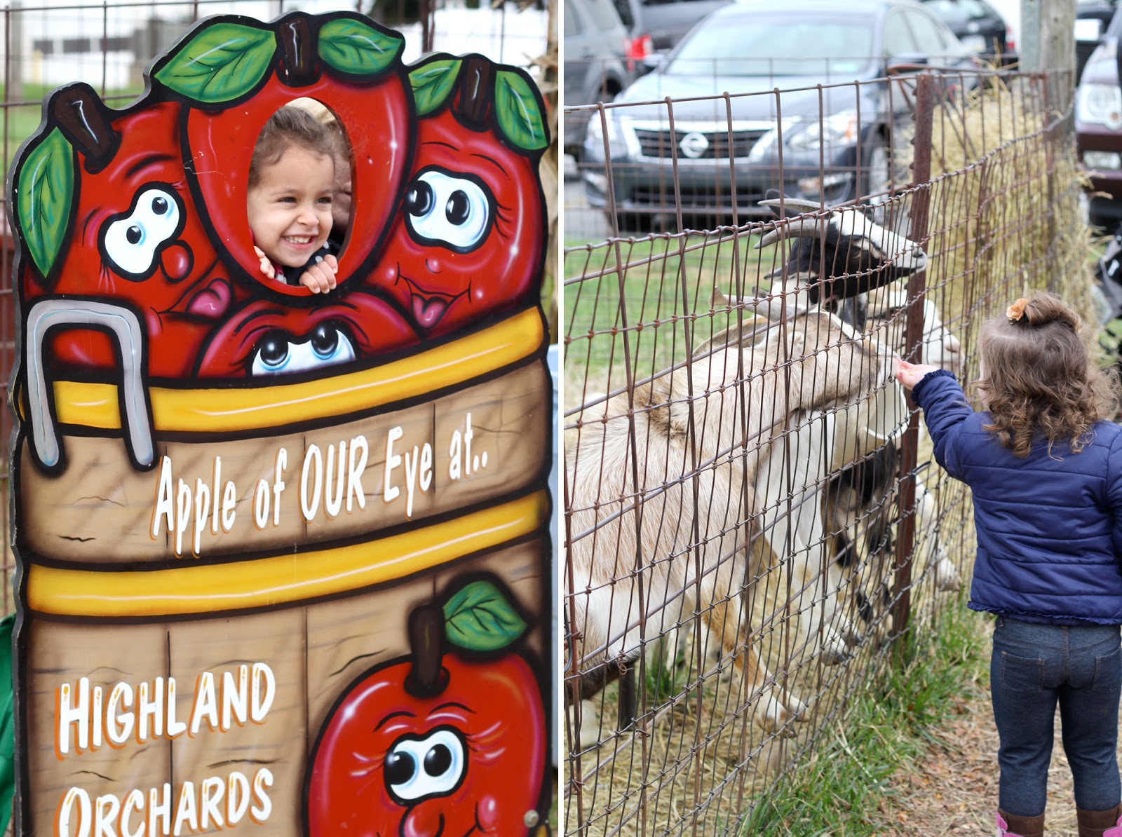 Marissa Says... | A Lifestyle Blog: Family fun day at Highland Orchards